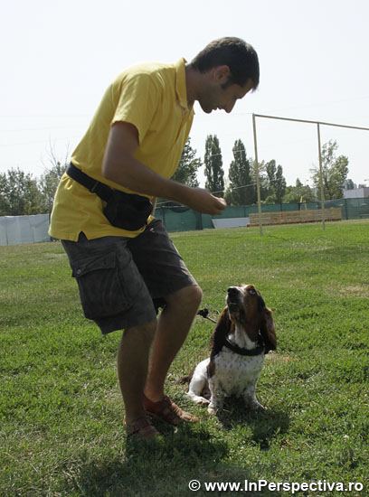 In Perspectiva - Interviuri si puncte de vedere.