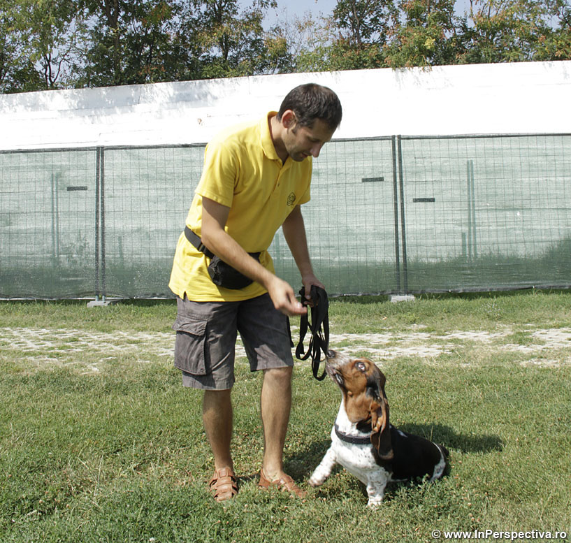 In Perspectiva - Interviuri si puncte de vedere.