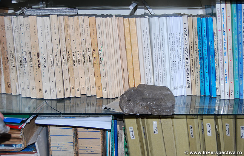 In Perspectiva - Interviuri si puncte de vedere.